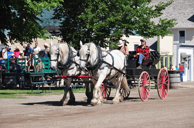 Things to do in Calgary in Spring - DiscoverCanada.Blog