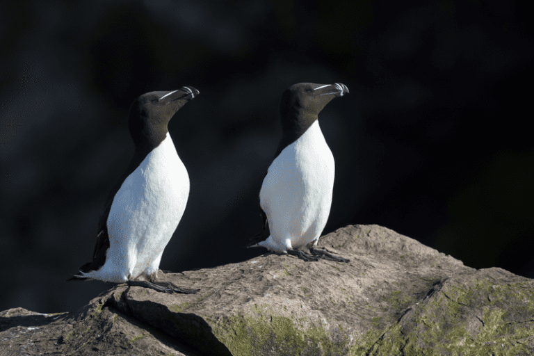 Best Photography Locations Near St John’s - DiscoverCanada.Blog