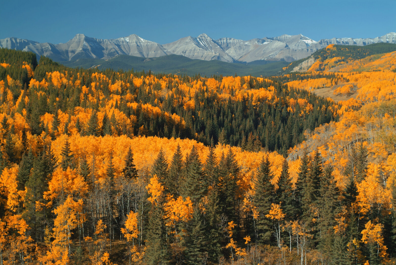 Alberta in Spring: A complete Travel Guide - DiscoverCanada.Blog